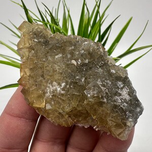 Spanish Yellow Fluorite With Pyrite, Mineral Specimen - Etsy