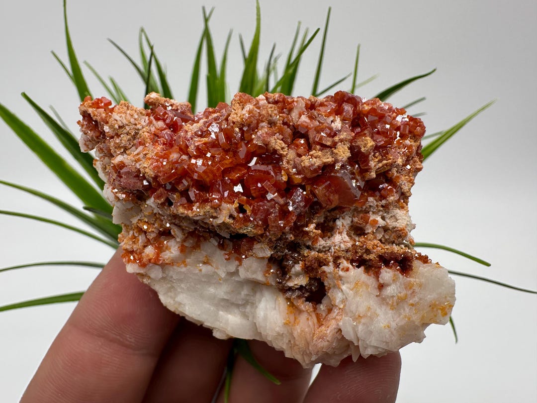Red Vanadinite Crystal on Barite, Morocco Mineral Specimen - Etsy