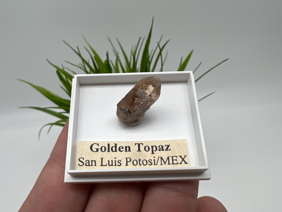 Golden Topaz Crystal, Mexican Mineral Specimen, Collectors Stone (20MM ...