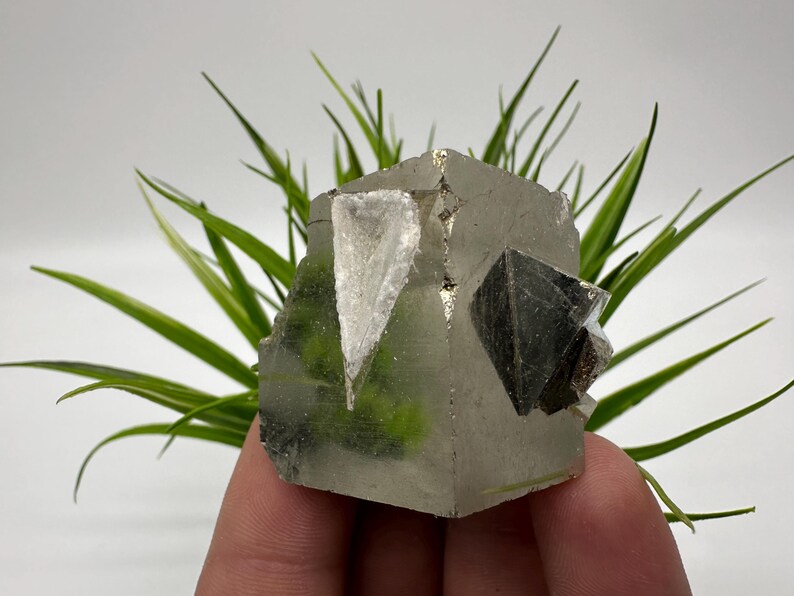 Large Cube Pyrite, Shiny Mineral Specimen, La Rioja Spain - Etsy