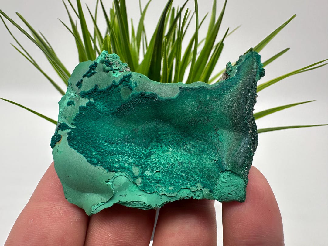 Stunning Green Malachite on Matrix,from Congo,minerals,crystals,mineral ...