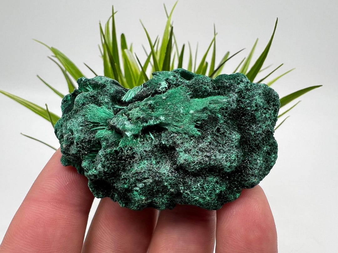 Moroccan Green Malachite on Matrix, Mineral Specimen - Etsy