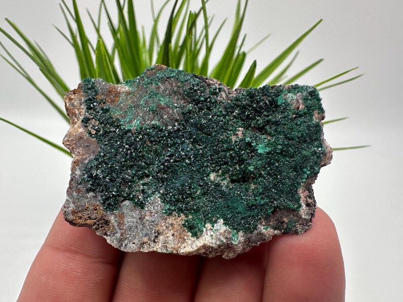 Green Malachite on Matrix, Congo Mineral Specimen - Etsy