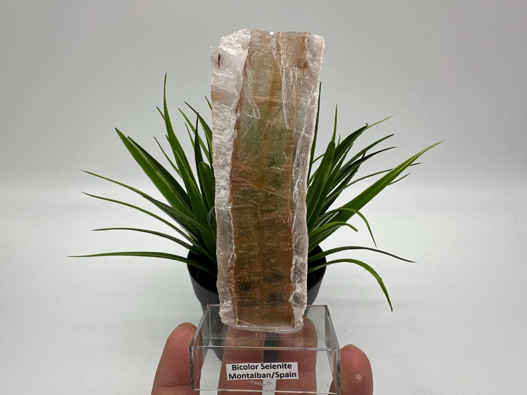 Golden Phantom Selenite Slab: Raw Utah Fishtail Selenite Wand - Etsy