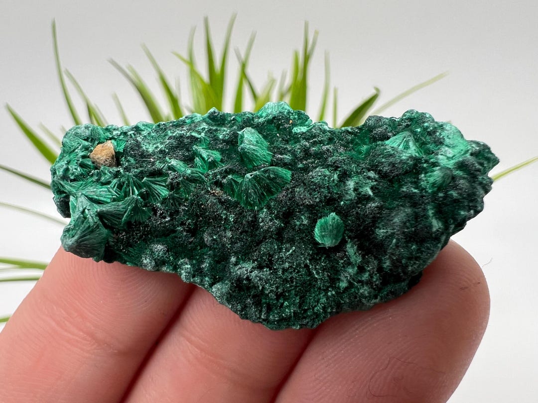 Green Malachite on Matrix, Moroccan Mineral Specimen - Etsy