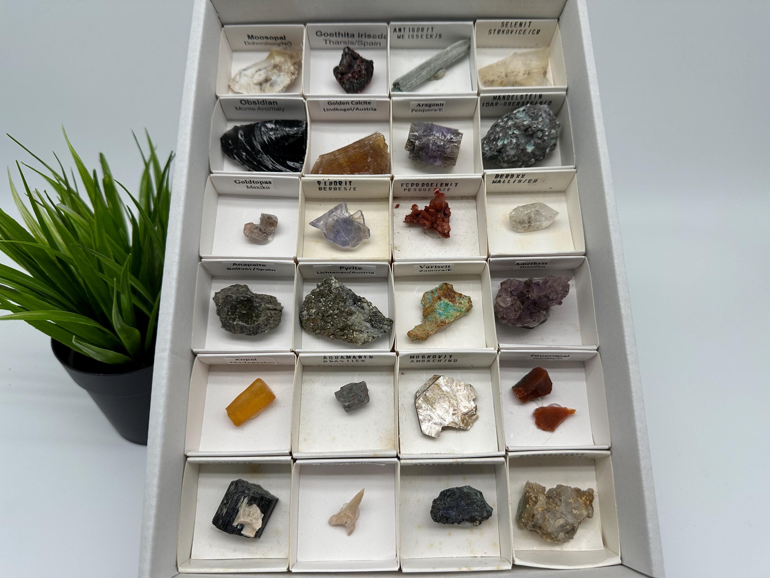Set of 24 Different International Crystals,minerals,flat Minerals,flat ...