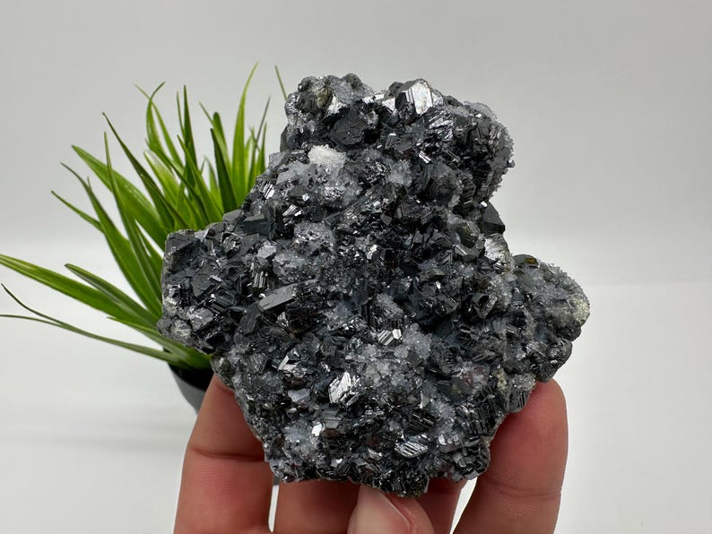 Galena With Quartz and Cleiophane From Krushev Dol Mine, Bulgaria ...