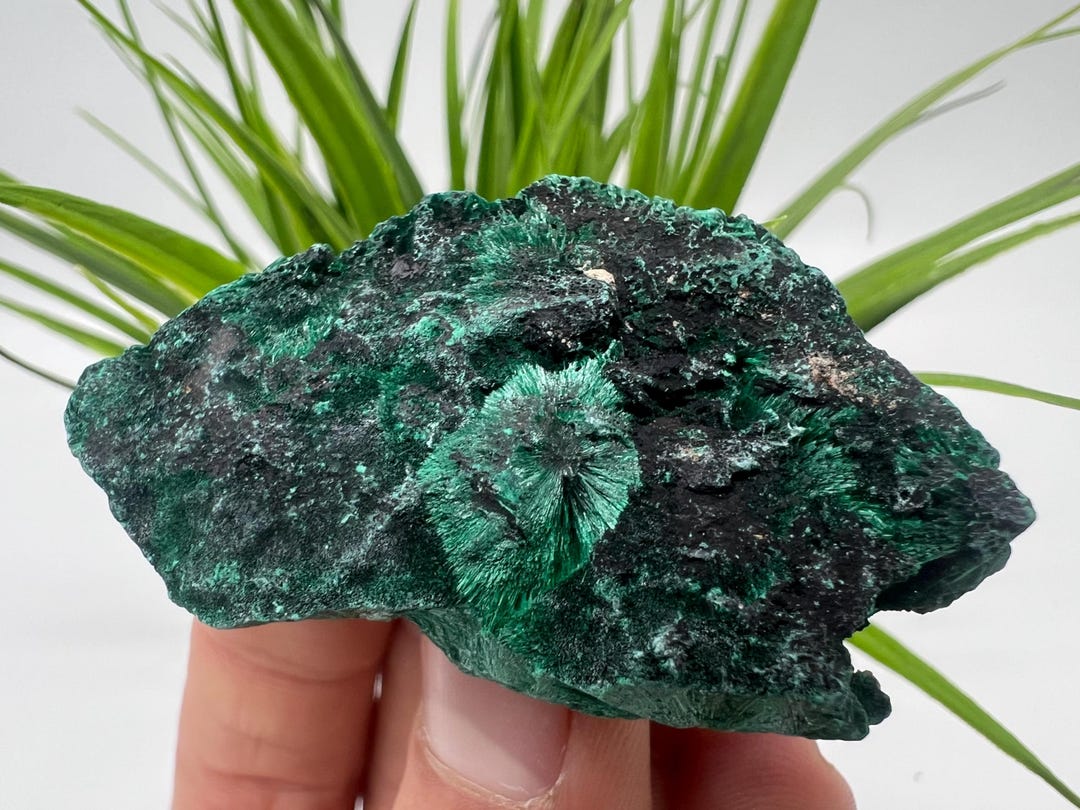 Stunning Green Malachite on Matrix,from Morocco,minerals,crystals ...