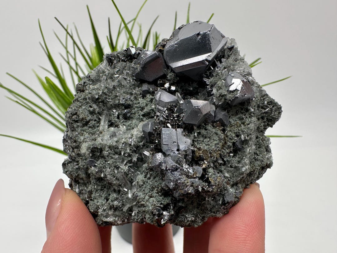 Galena & Sphalerite With Green Quartz From Borieva Mine – Natural ...