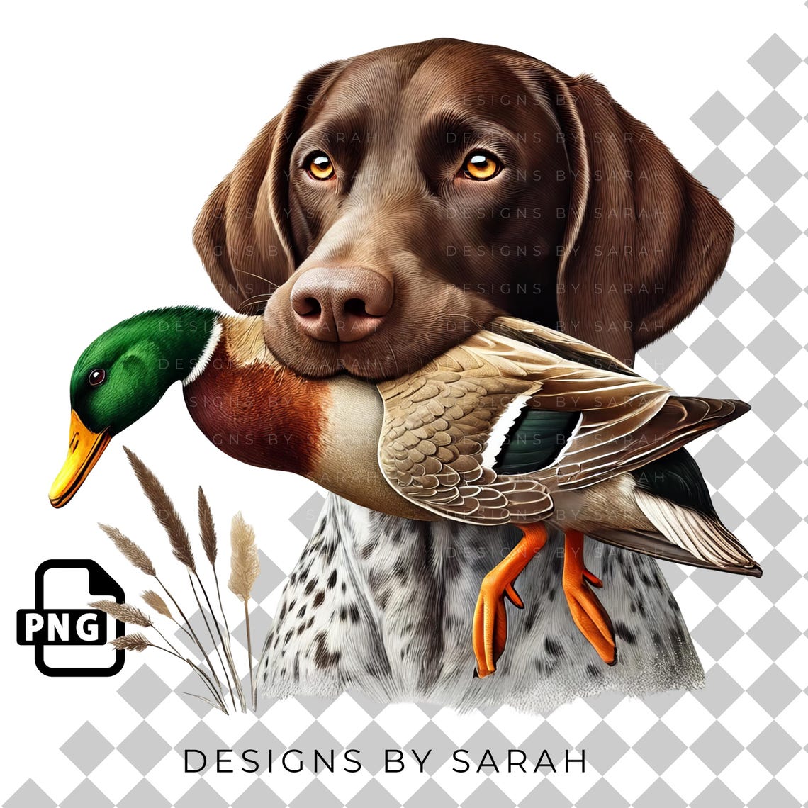 German Shorthaired Pointer With Mallard Duck PNG Clipart - Etsy