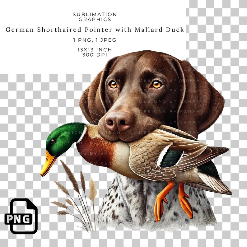 German Shorthaired Pointer With Mallard Duck PNG Clipart - Etsy