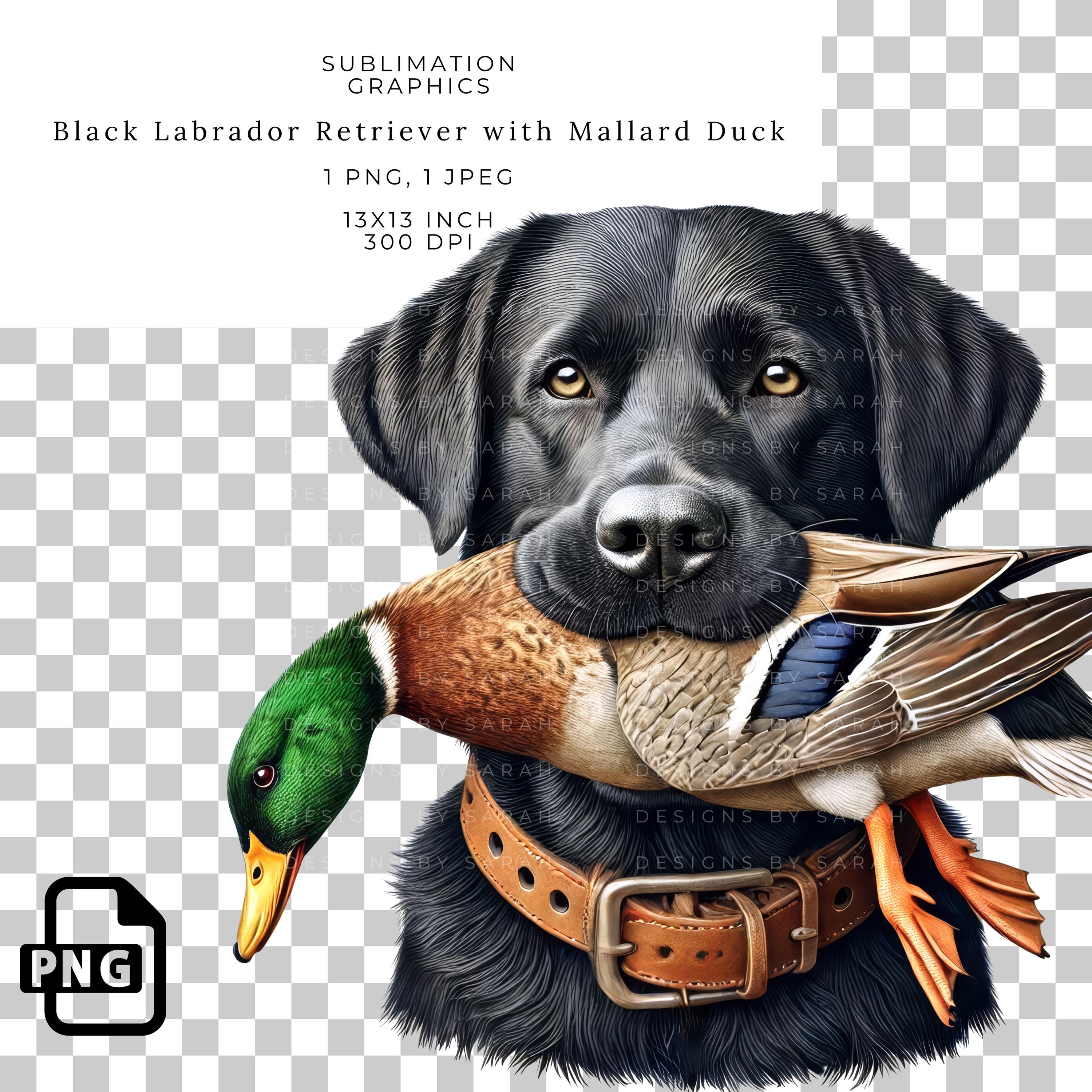 Black Labrador Retriever Sublimation Graphic With Mallard Duck - Lab ...