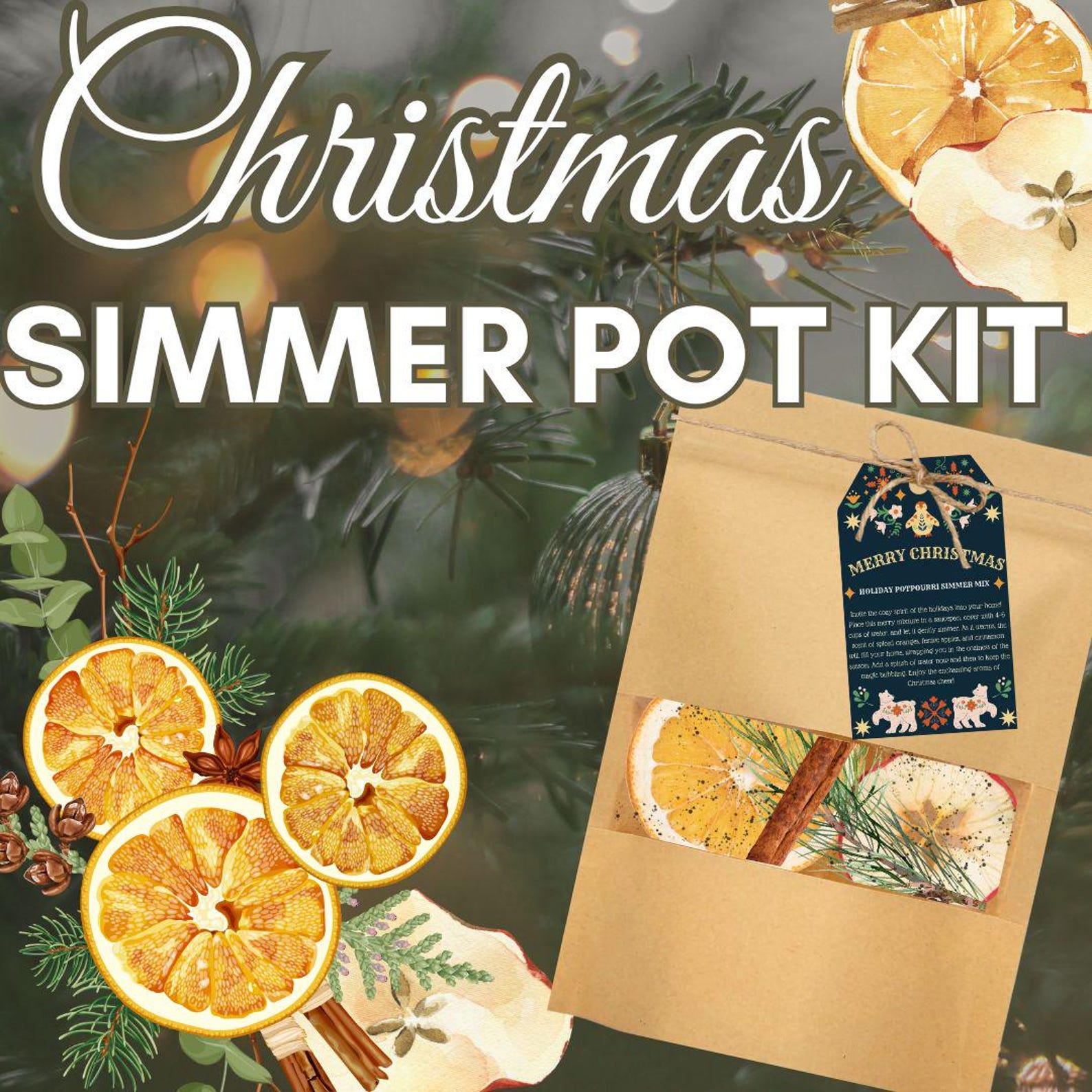 Christmas Simmer Pot Kit Potpourri Fall/ Winter Blend dried Fruits ...