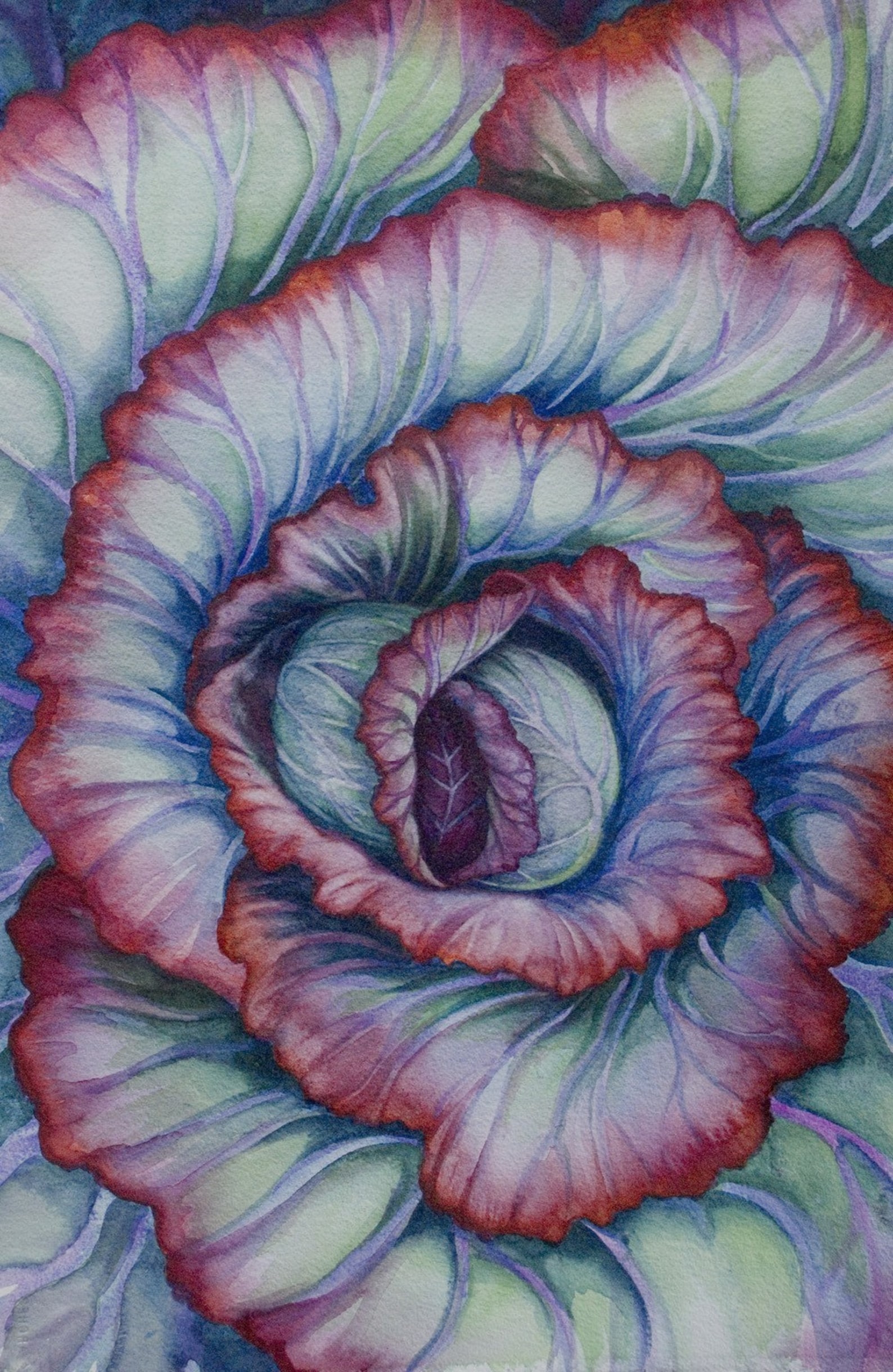 Spiral Cabbage Original Watercolor Painting - Etsy
