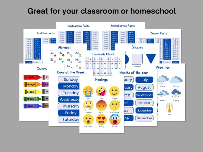 Set of 12 Educational Posters / Homeschool Printable Posters / Anchor ...