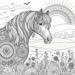 Horse Mandala Magic: A Coloring Book for Tranquility and Creativity ...