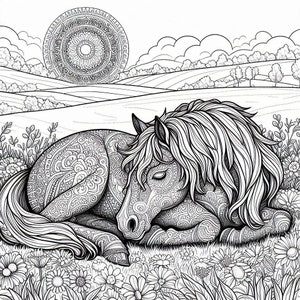 Horse Mandala Magic: A Coloring Book for Tranquility and Creativity ...