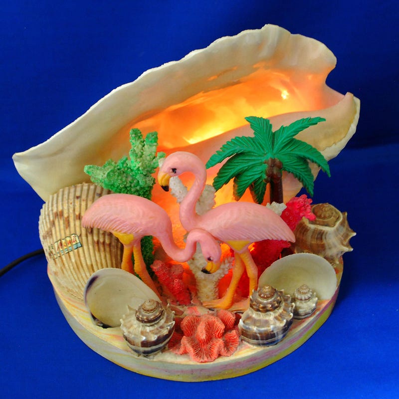 Conch Shell Lamp - Etsy