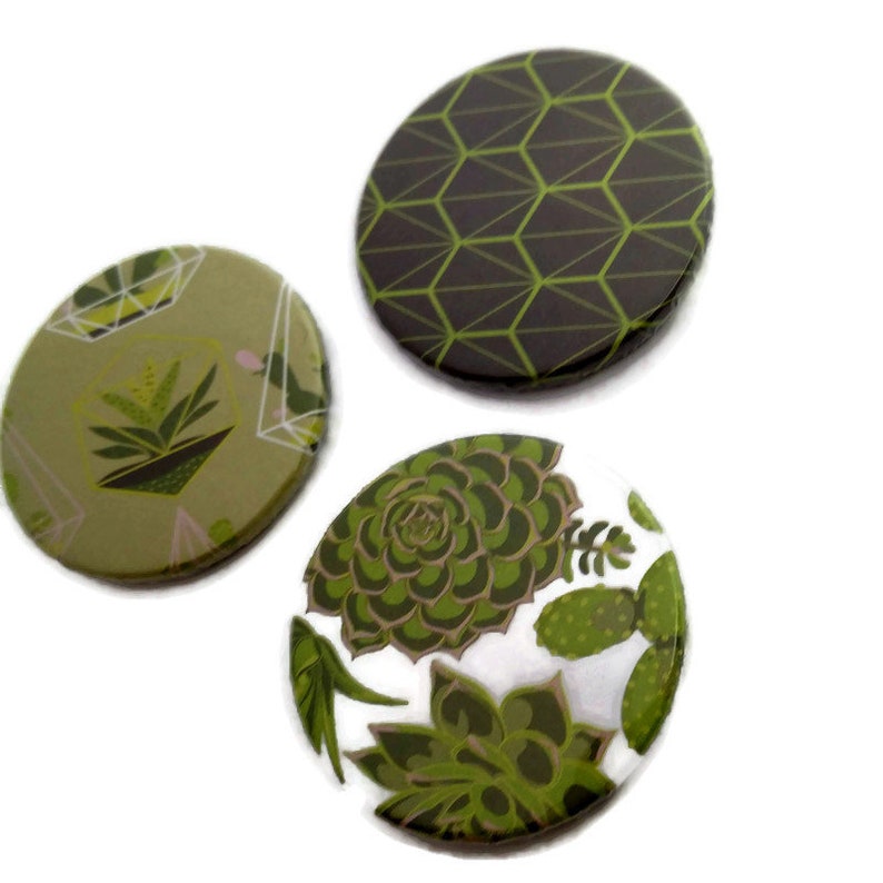 Succulent Magnets-fridge Magnets-refrigerator Magnet-kitchen - Etsy