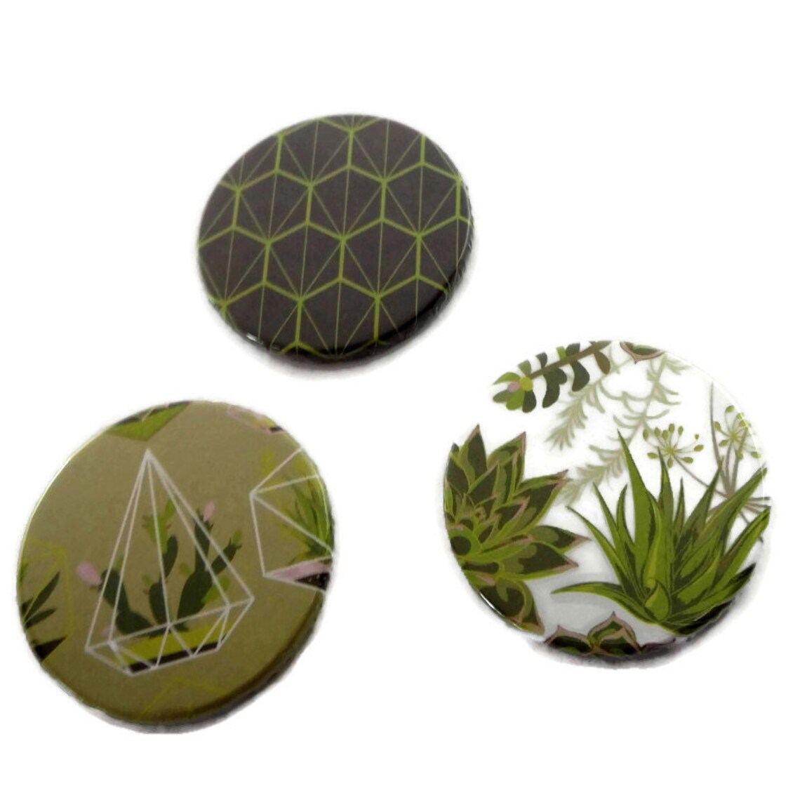 Succulent Magnets-fridge Magnets-refrigerator Magnet-kitchen - Etsy