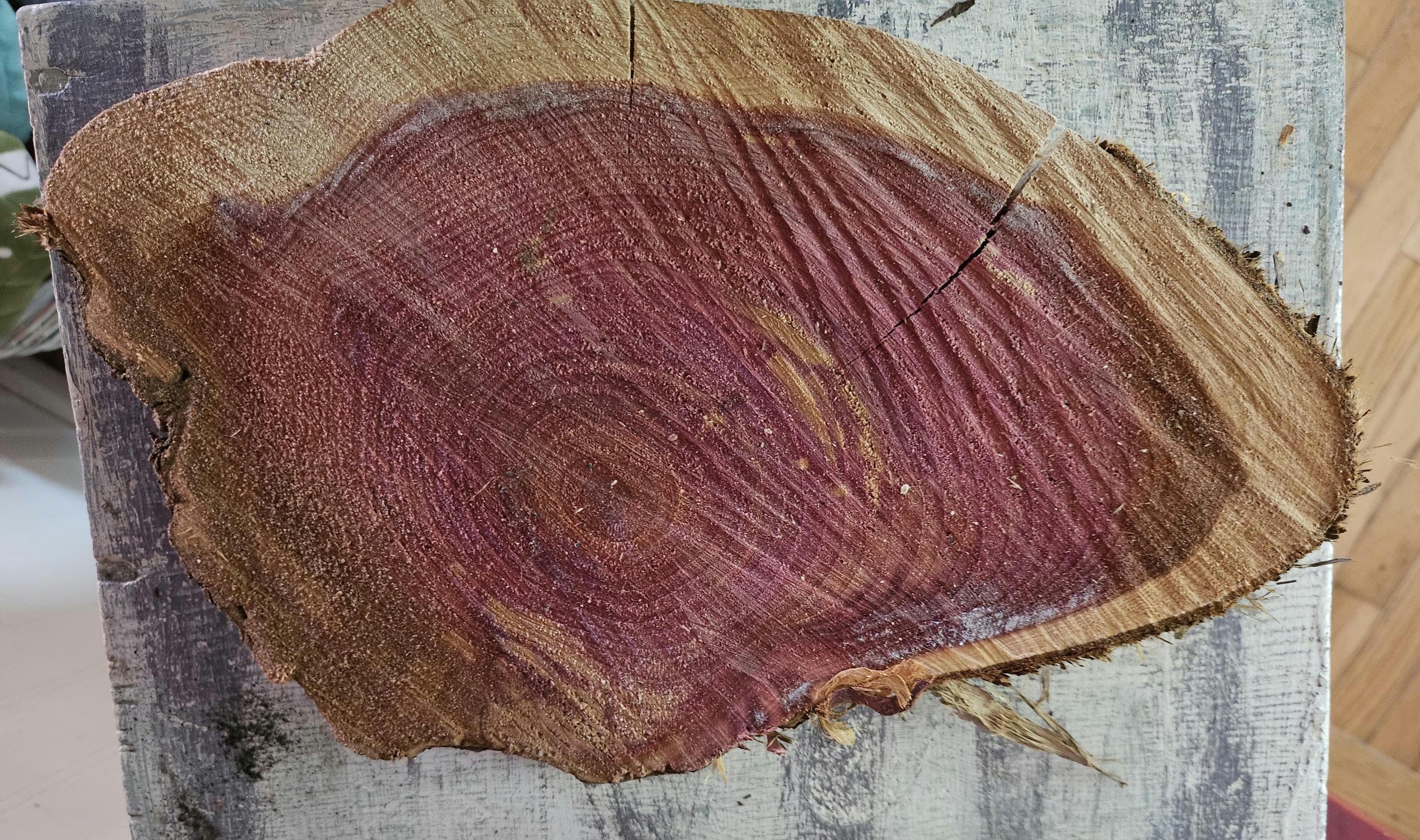 Unfinished Cedar Knife Display. - Etsy