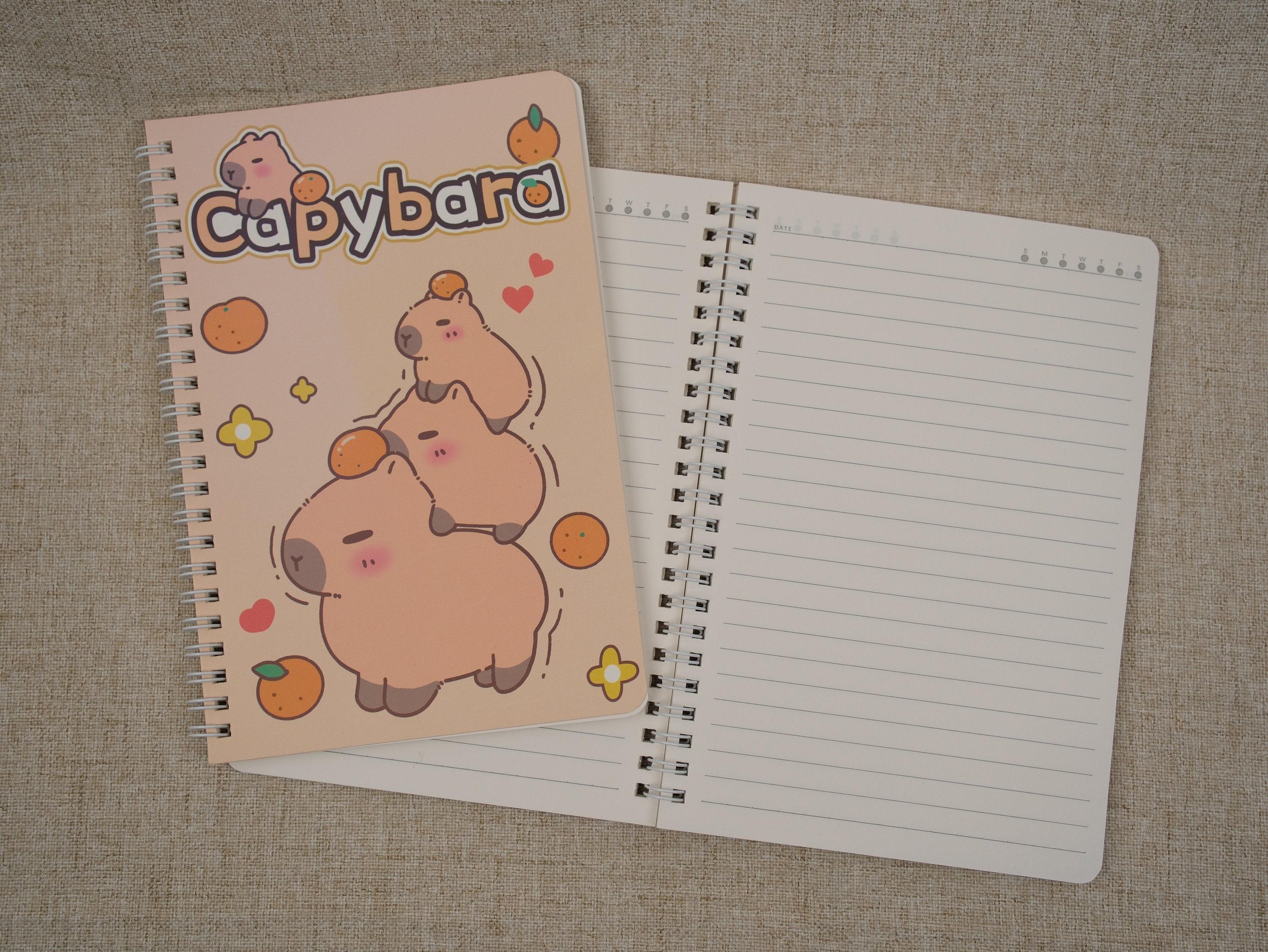 Capybara Stationary Gift Set- Capybara Pencil Case, Notebook and ...