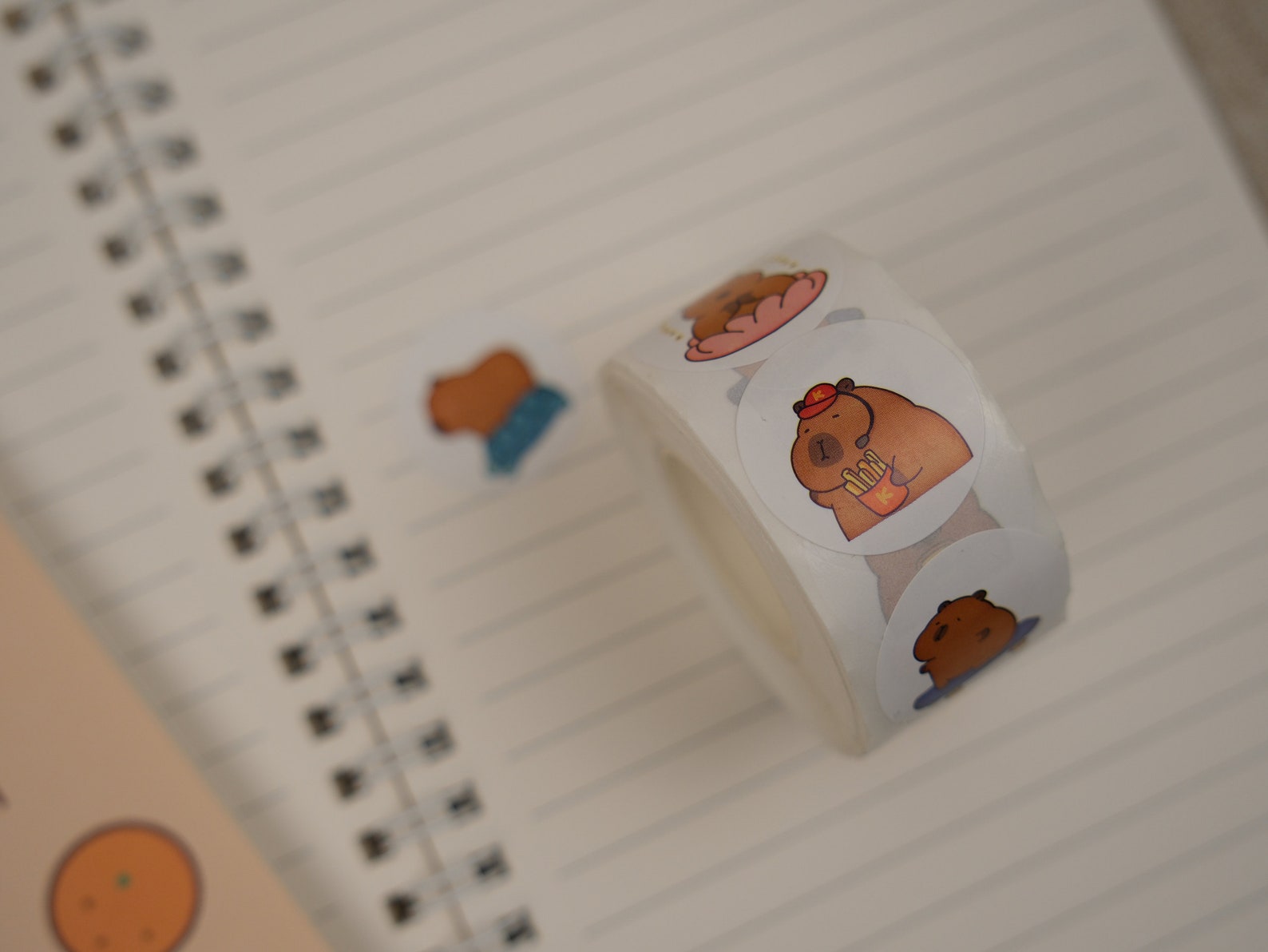Capybara Stationary Gift Set- Capybara Pencil Case, Notebook and ...
