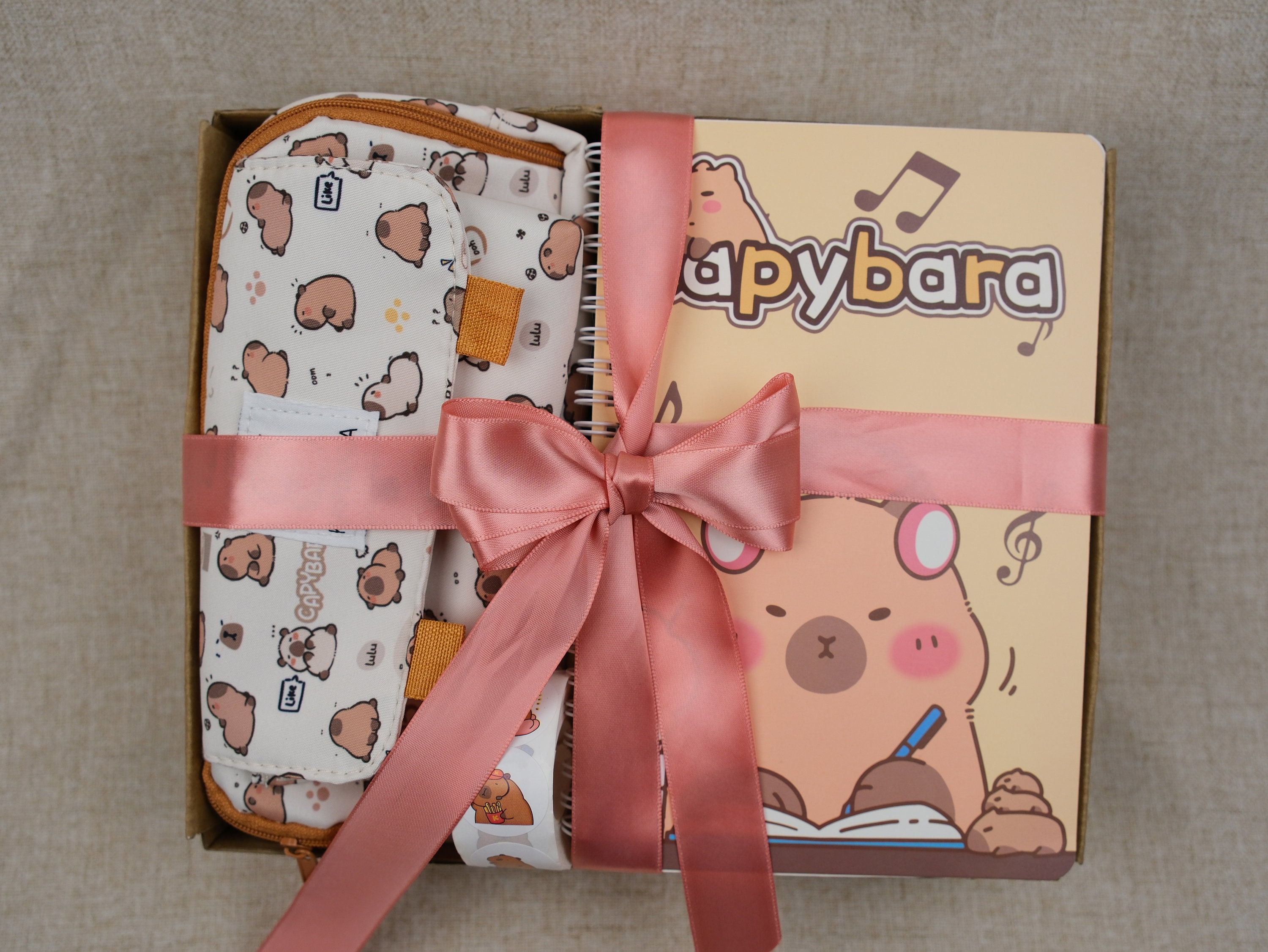 Capybara Stationary Gift Set- Capybara Pencil Case, Notebook and ...