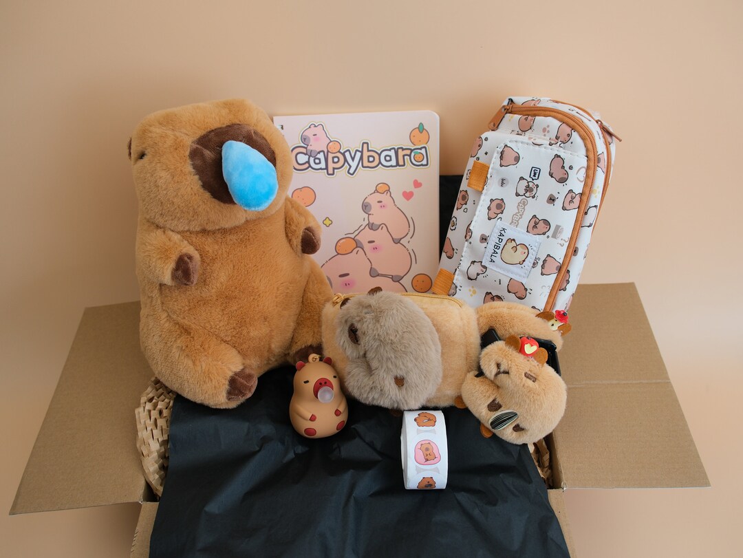 Capybara Gift Set - 7 in One - Capybara Plush Doll, Notebook, Keychain ...