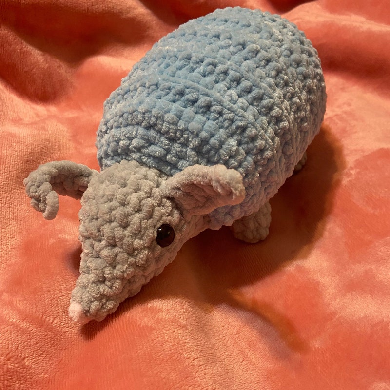 Armadillo Shell - Etsy