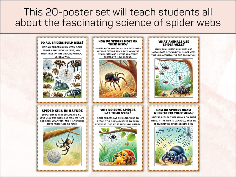 20 Spider Webs Science Posters | Classroom Fall and Halloween Decor ...
