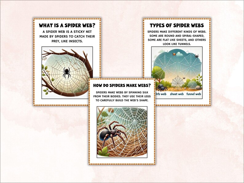 20 Spider Webs Science Posters | Classroom Fall and Halloween Decor ...