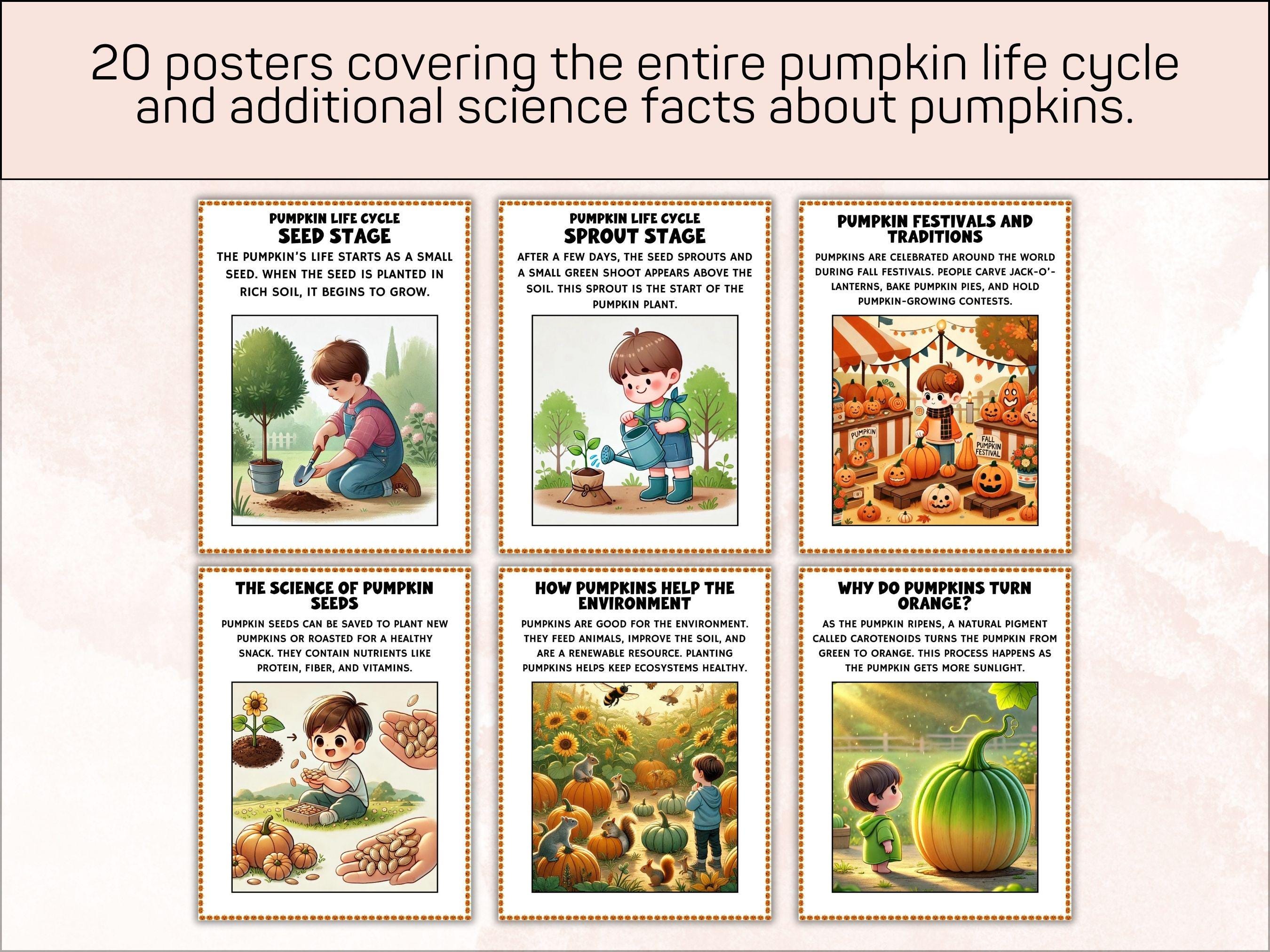 Pumpkin Life Cycle and Science Posters Set 20 Fall & Halloween ...