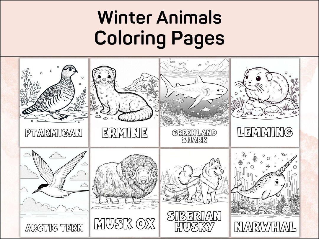 Winter Animals Coloring Pages | Educational Arctic Wildlife Coloring ...