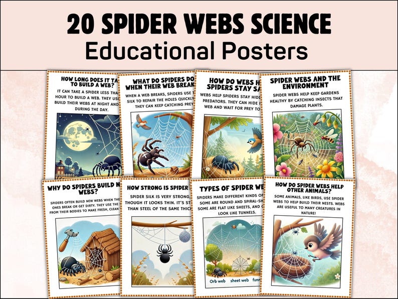 20 Spider Webs Science Posters | Classroom Fall and Halloween Decor ...