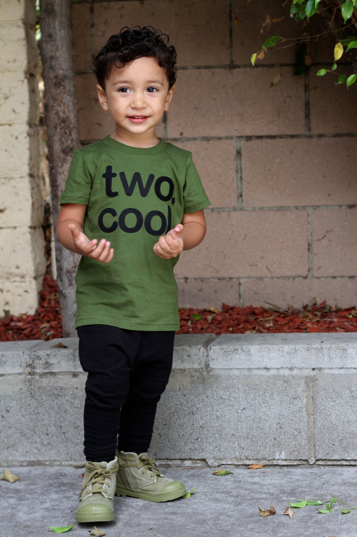 TWO. COOL. Toddler Baby Boy, Girl, "two Cool" 2 Year Old Birthday Shirt ...