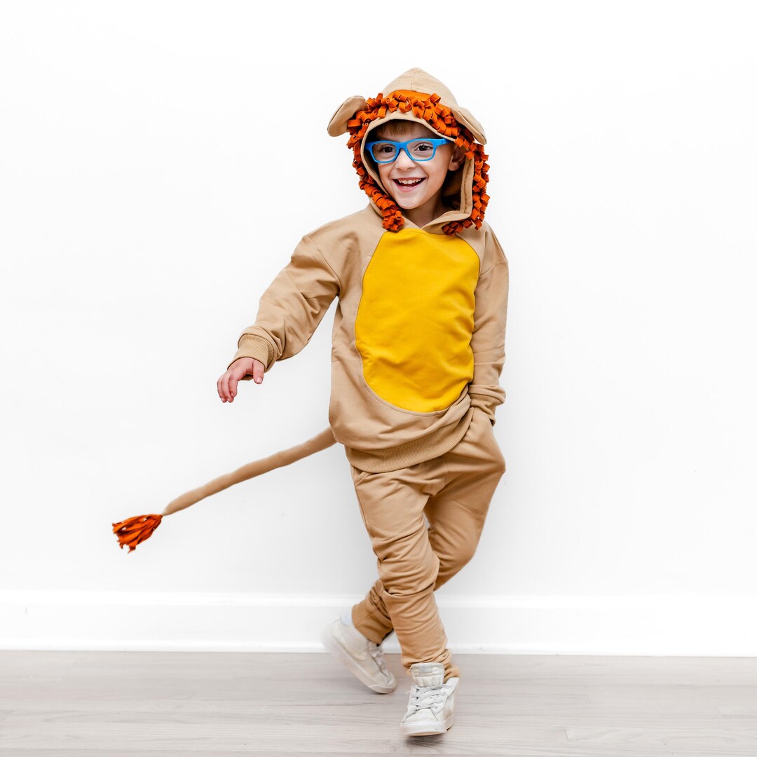 Unisex Comfy Lion Hoodie AND Joggers, Toddler Halloween Costume, Lion ...