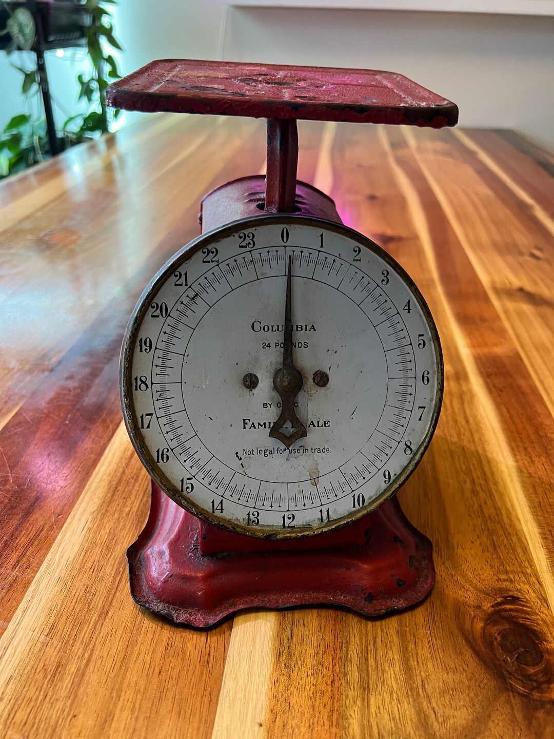 Antique Columbia Family Scale/24 Pounds by Ozs/ Early 1900s/antique ...