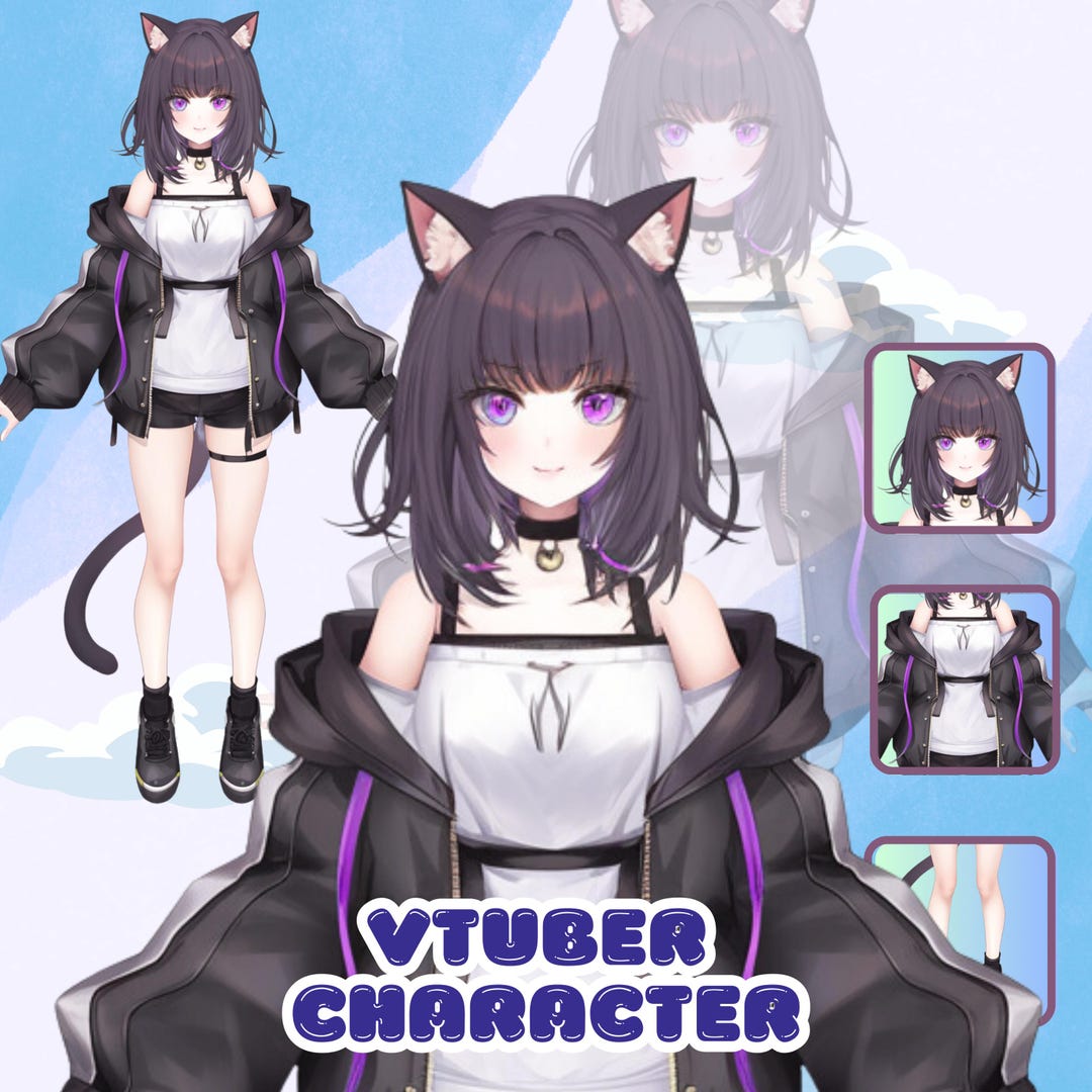 Customizable Live 2D Vtuber Model, Vtuber Commission, Vtuber Character ...