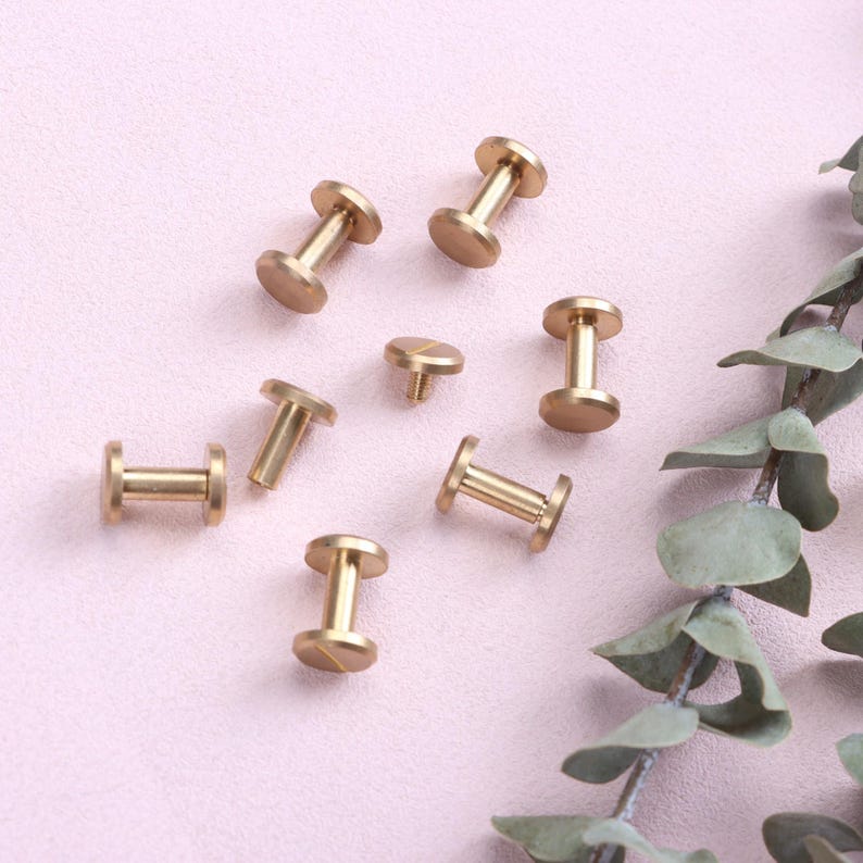 8mm Gold Chicago Screw for Leather, Brass Chicago Screws, Screw Rivets ...