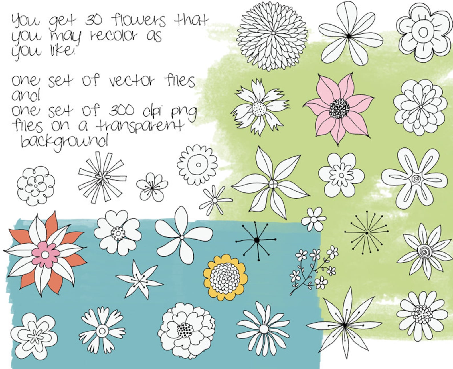 30 Hand Drawn Flowers Clipart EPS Illustrator CS2 and Png - Etsy