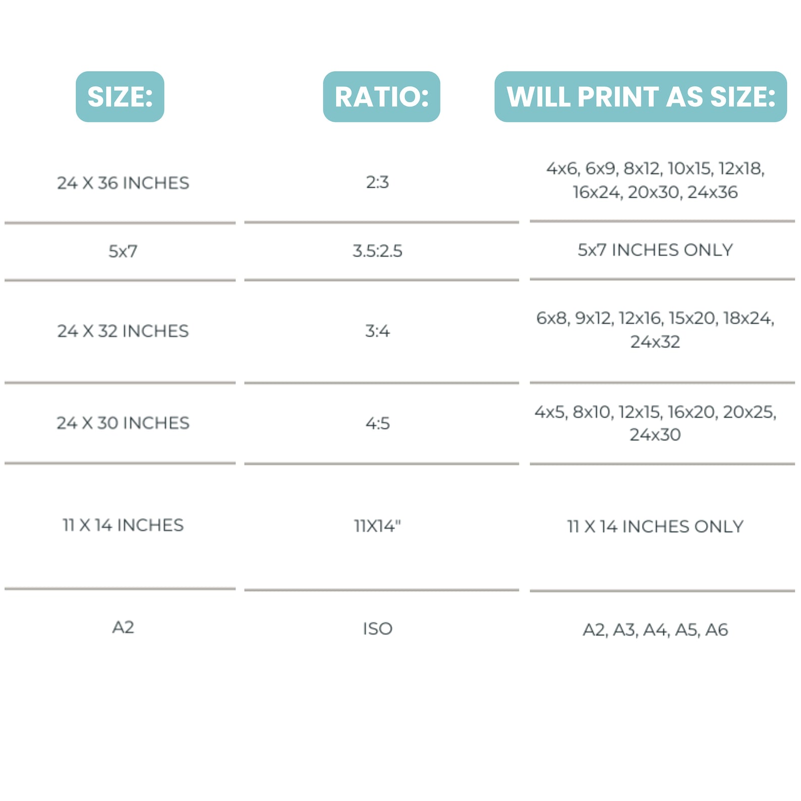 Love Shack Fancy Wall Art, Printable Wall Art, Coquette Room Decor, Set ...