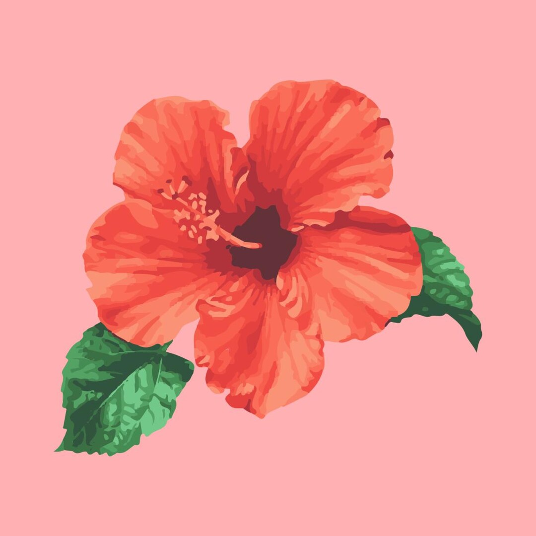 Hibiscus Flower Digital Printable Art - Etsy