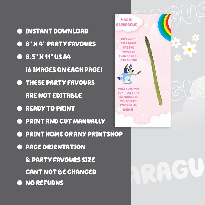 Party Favor Bluey Birthday Giveaway Gift for Girl Bingo Bluey Dog Party ...