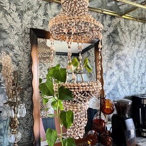 Vintage Boho Shell Plant Hanger - Etsy