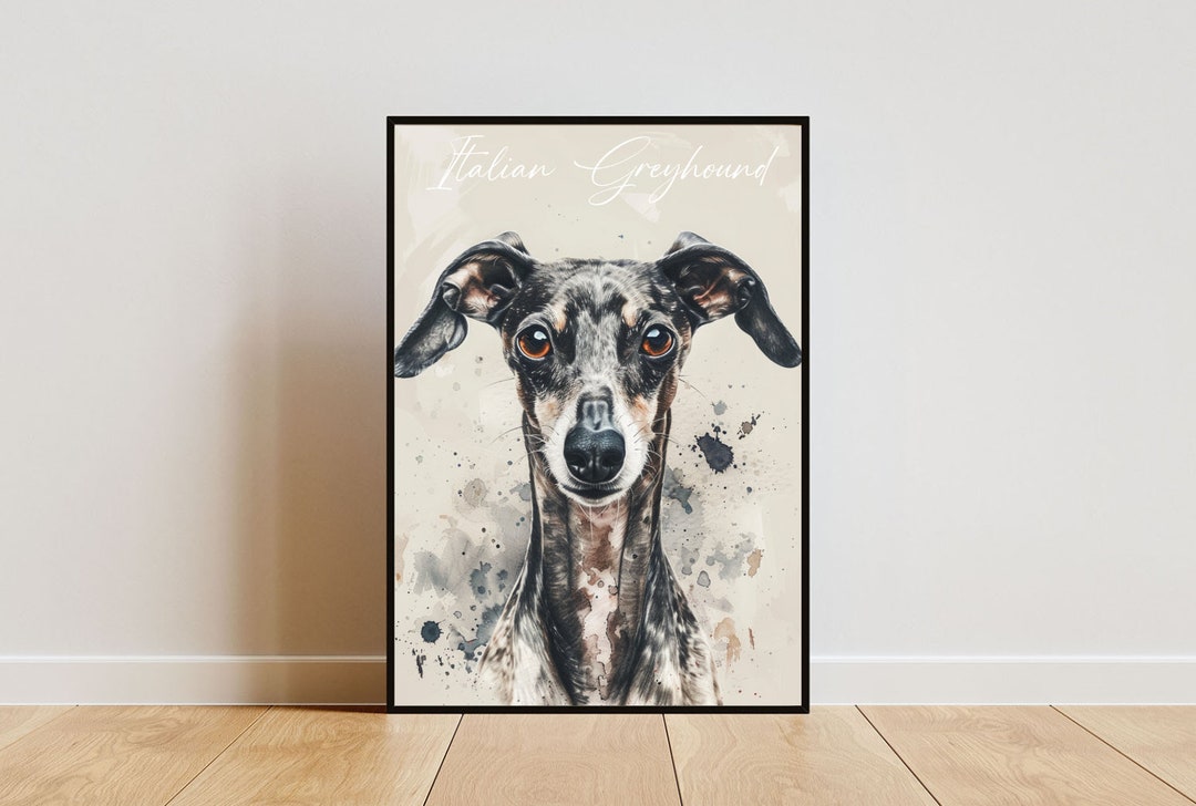 Italian Greyhound Poster, Dog Poster, Italian Greyhound Print, Dog Wall ...