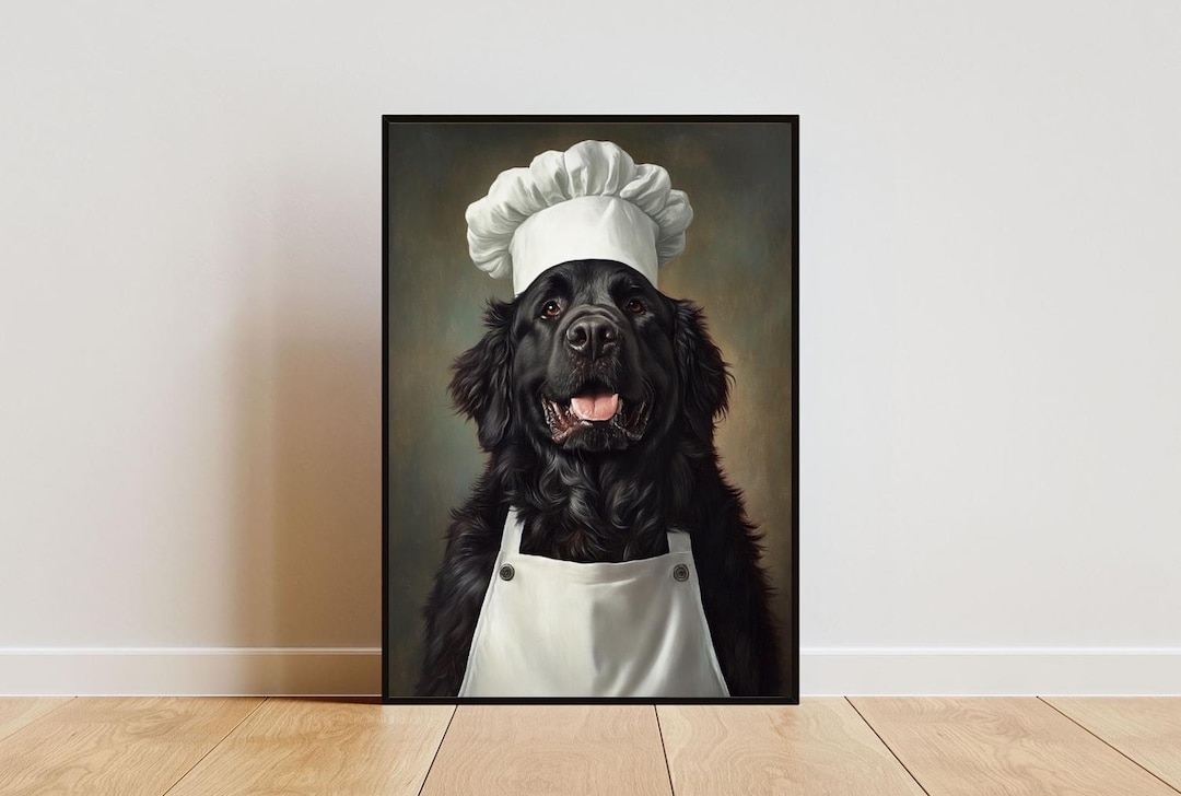 Newfoundland in Chefs Hat Poster, Pet Poster, Newfoundland in Apron ...