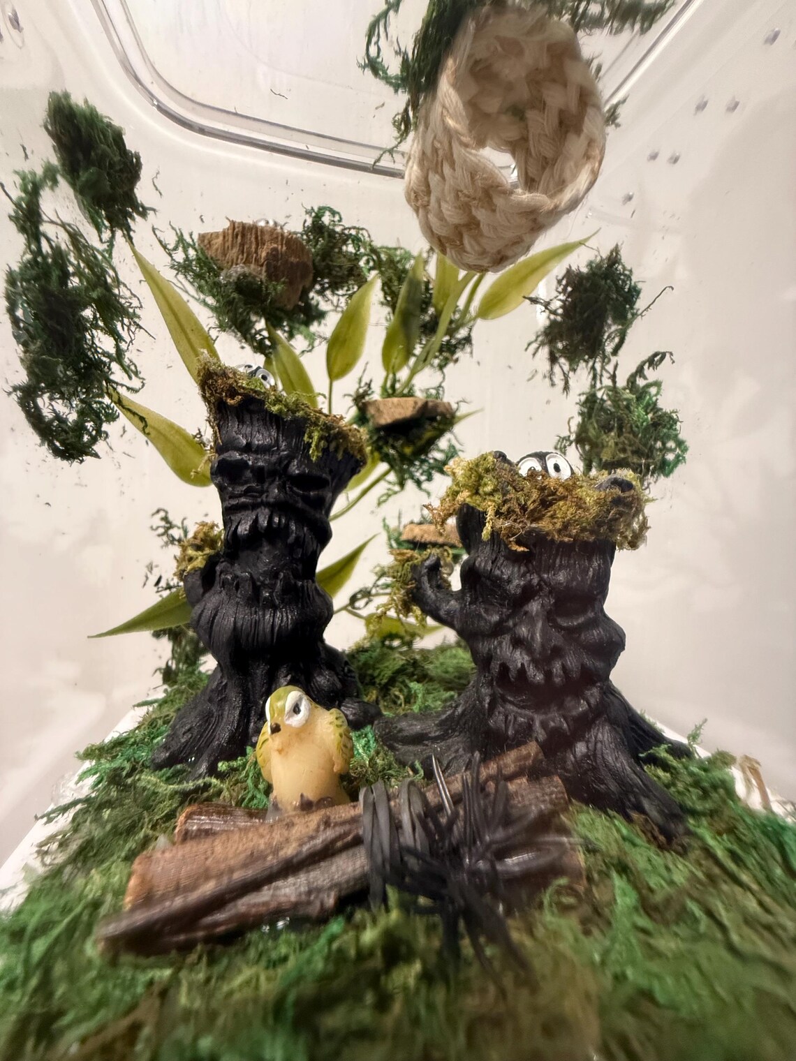 4.5x6 Jumping Spider Spooky Forest Soot Sprite Studio Ghibli Enclosure ...