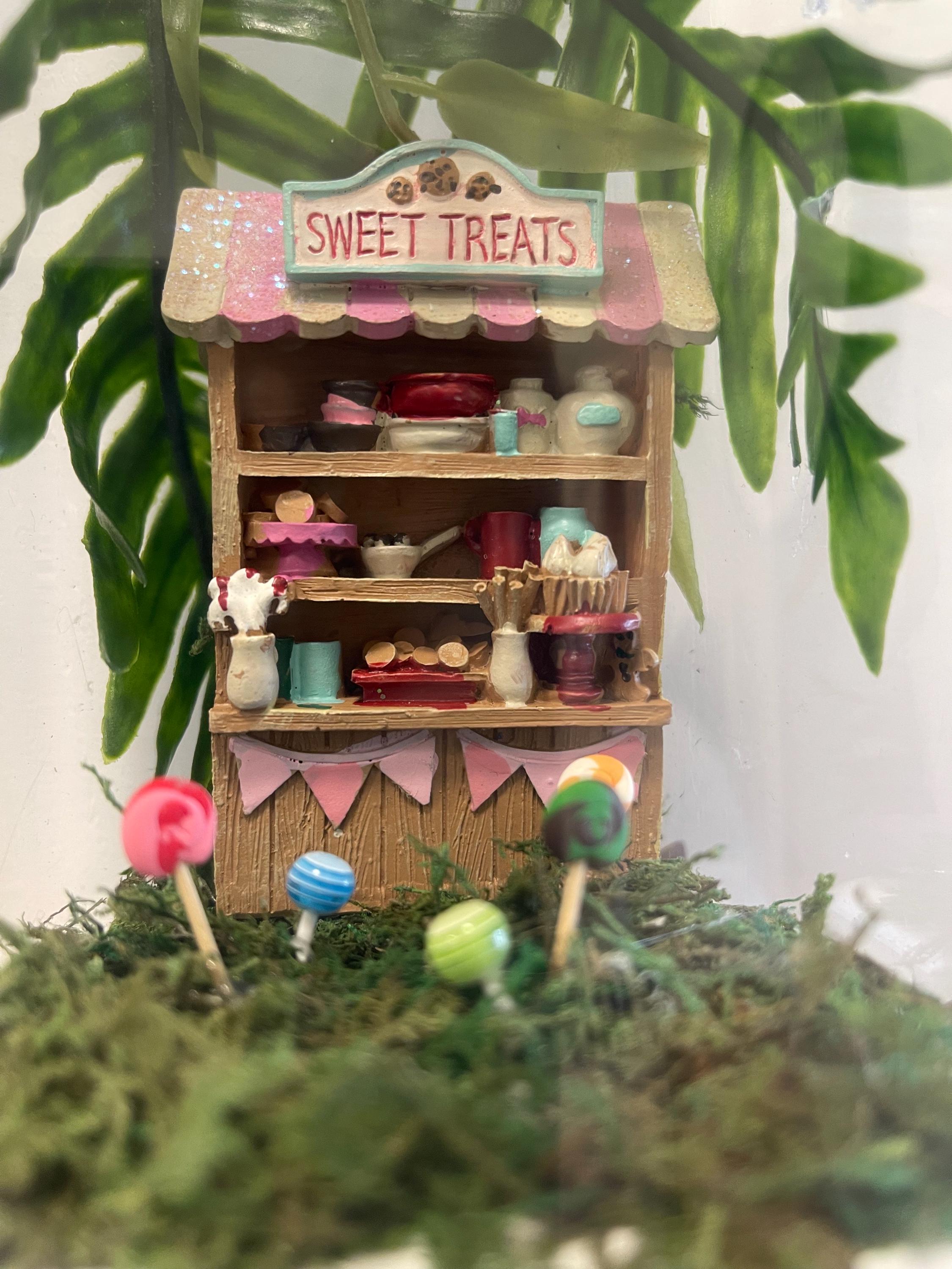 4x6 Jumping Spider Sweet Treats Bakery Enclosure Lollipops Christmas ...