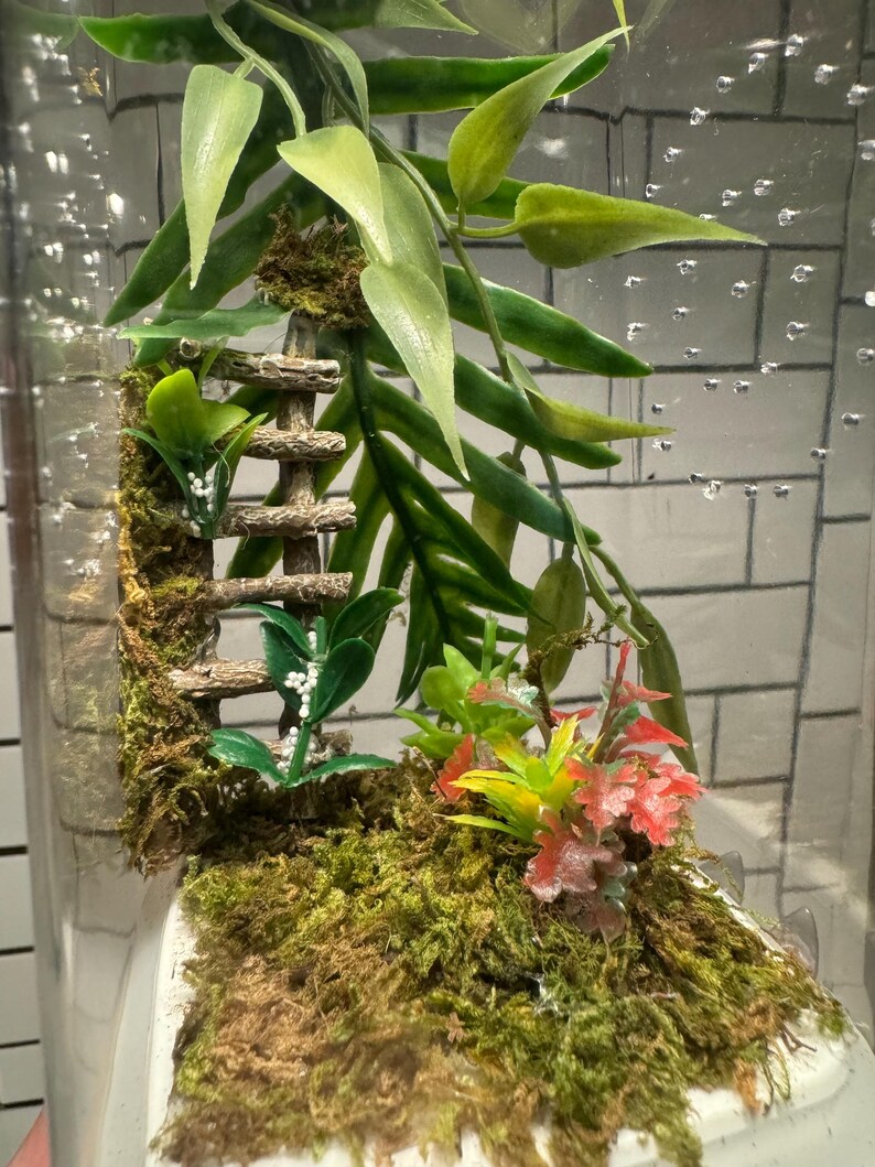 4x6 Jumping Spider Insect Enclosure Natural Moss Tropical Floral Garden ...